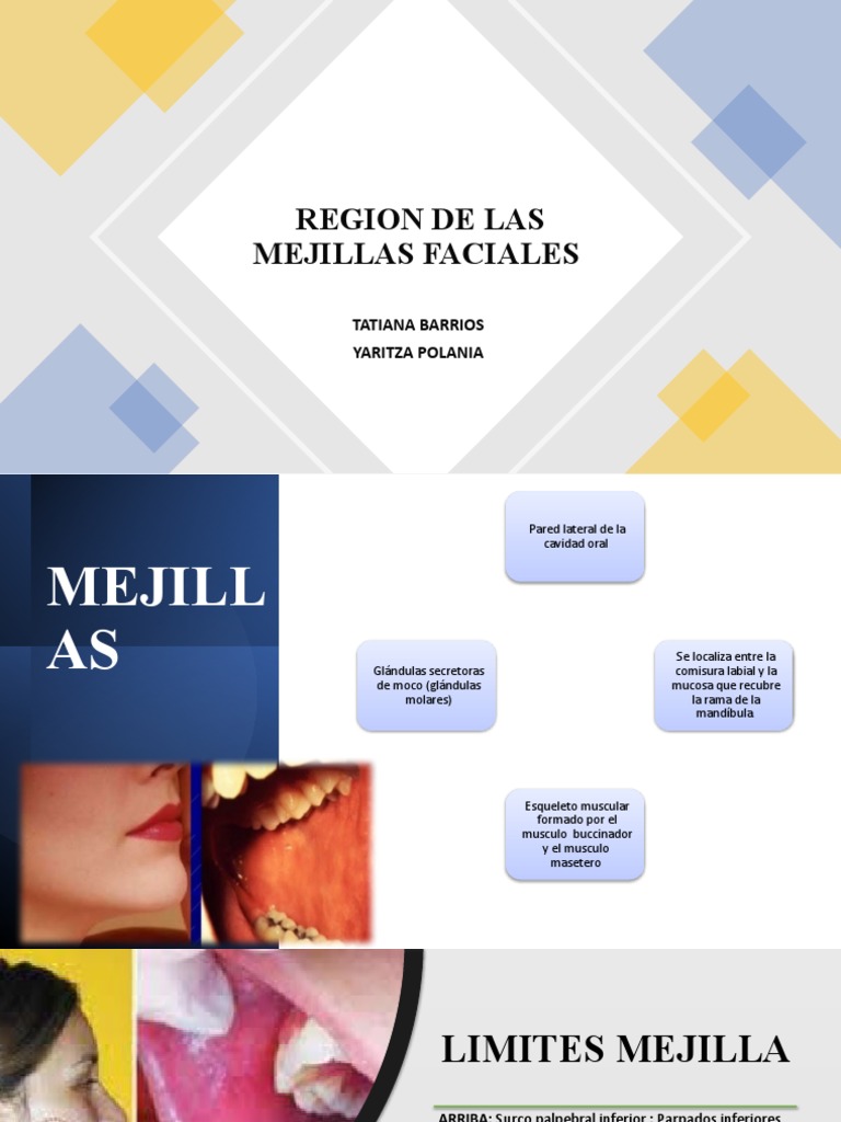 Region de Las Mejillas Faciales | PDF