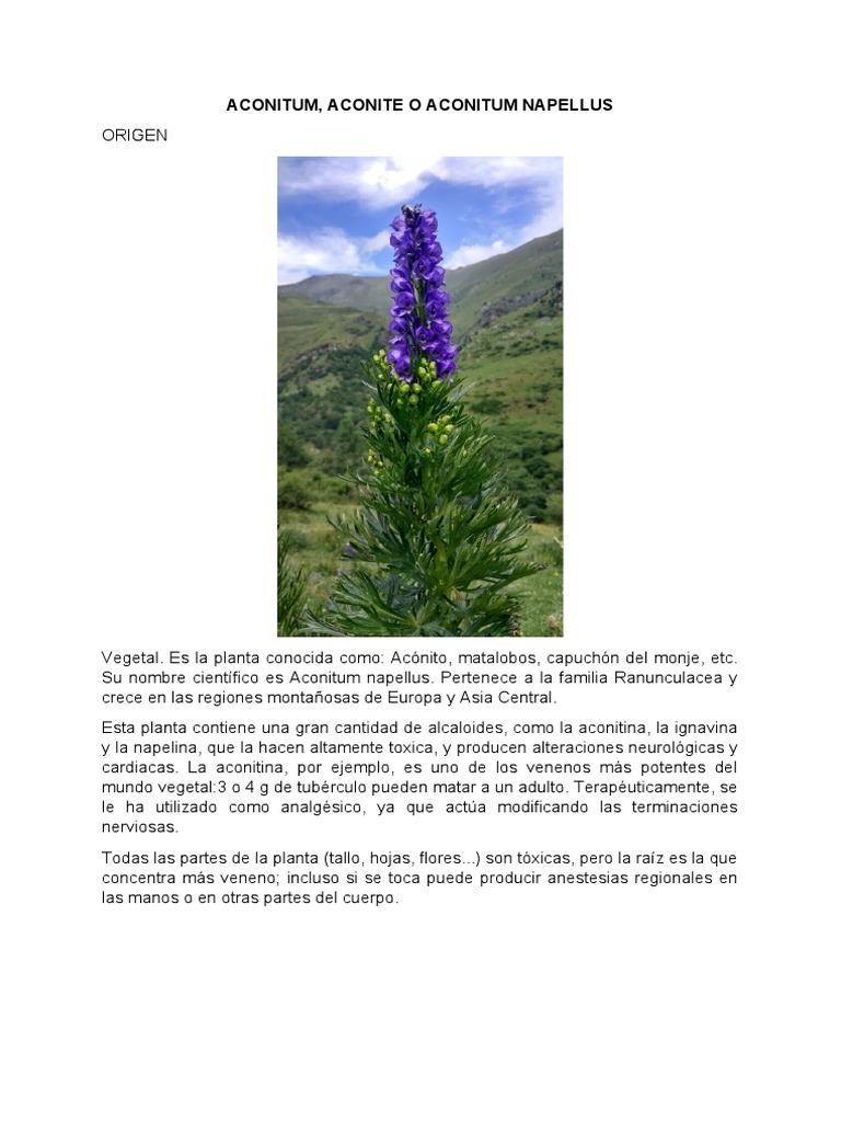 Aconitum Napellus | PDF | Hogar, jardinería y bricolaje | Ciencia y ...