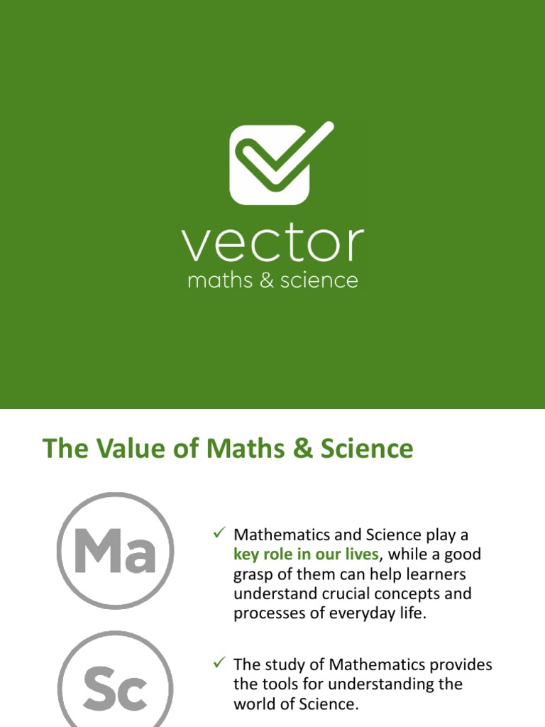 Vector Profile | PDF | Mathematics | Science