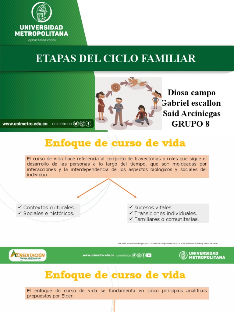 Etapas del Ciclo Vital Familiar | PDF | Familia