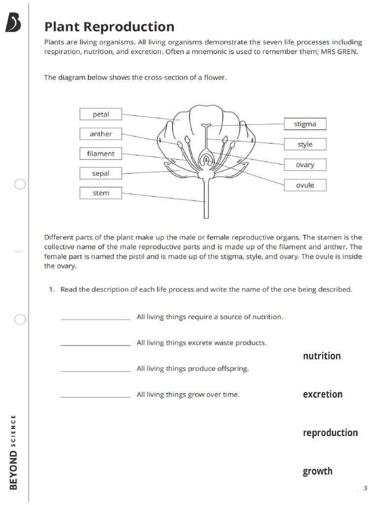 Plant Reproduction | PDF
