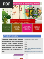 Cbse Class 12 Sexual Reproduction in Flowering Plants Mind Map | PDF ...