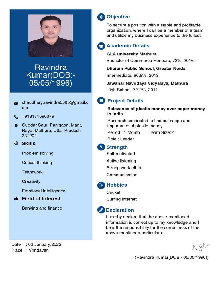 Ravindra Kumar: Banking & Finance Resume | PDF