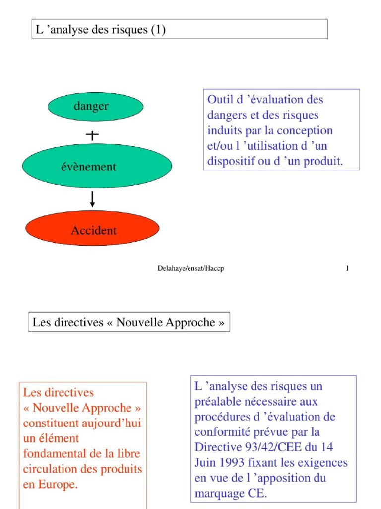 Analyse Des Risques | PDF
