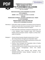 Panduan Penerapan Bundle Hais | PDF