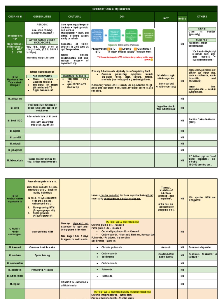 Summary Tables L10 - L12 | Download Free PDF | Tuberculosis | Infection