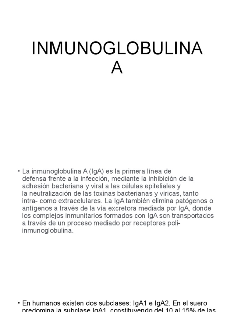 Funciones Y Tipos De Inmunoglobulina A Pdf