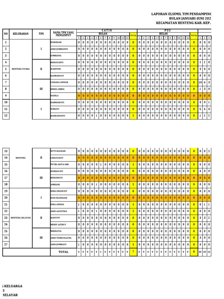 Rekap Inputan Kader TPK Elsimil Kec - Benteng | PDF