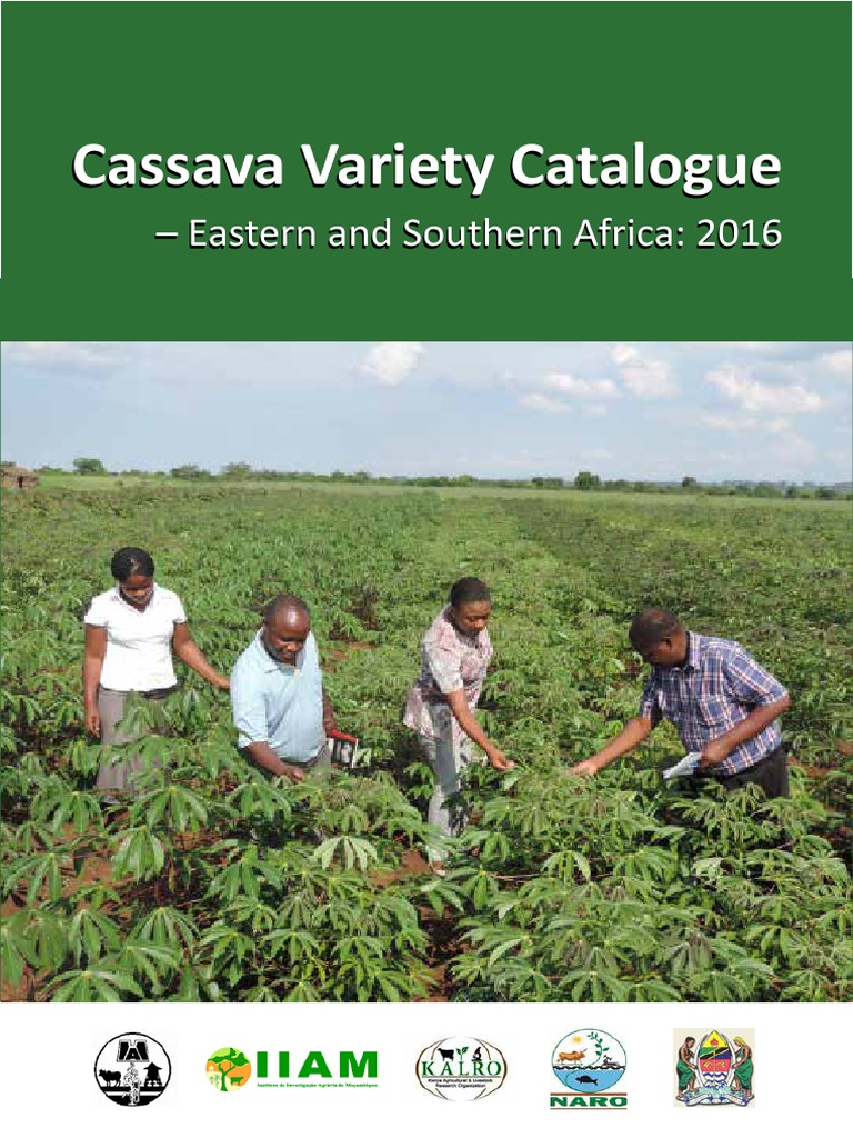 Elite Cassava Varieties in Africa | PDF | Leaf | Root
