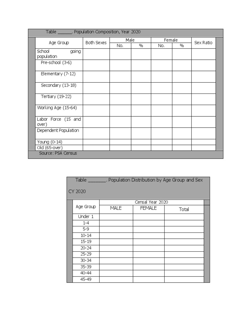 Psa Data Census 2020 | PDF