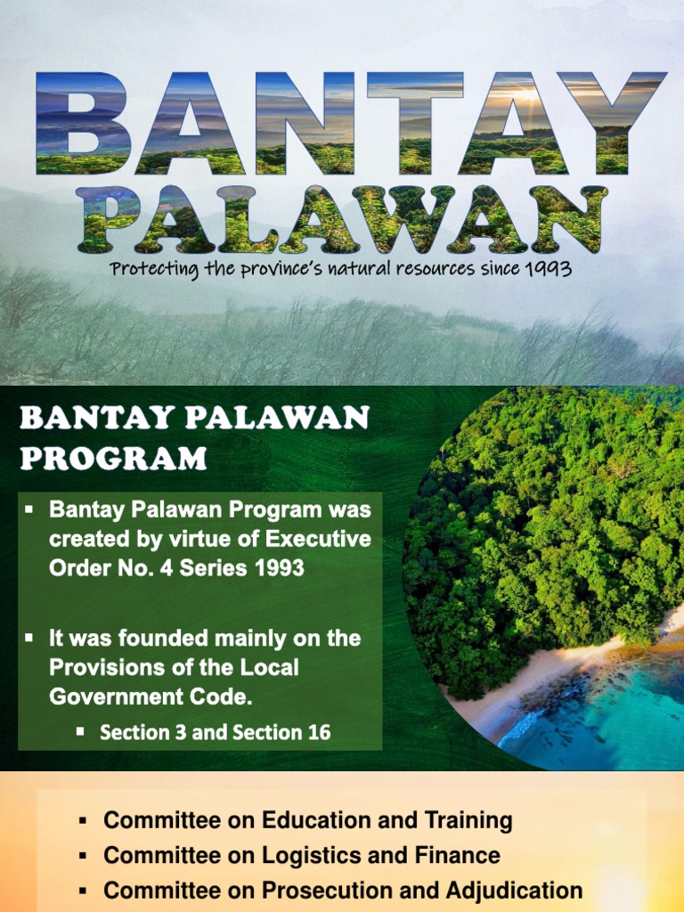 1 Lgu-Programs Bantay-Palawan | PDF