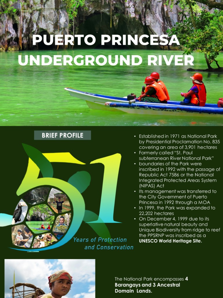 5 - Ppur - Efforts On Environmental Management | PDF