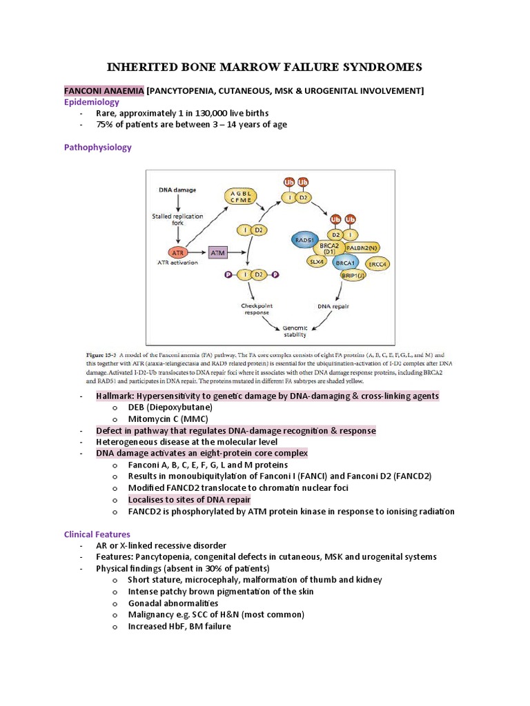 Inherited BM Failure Syndromes | PDF