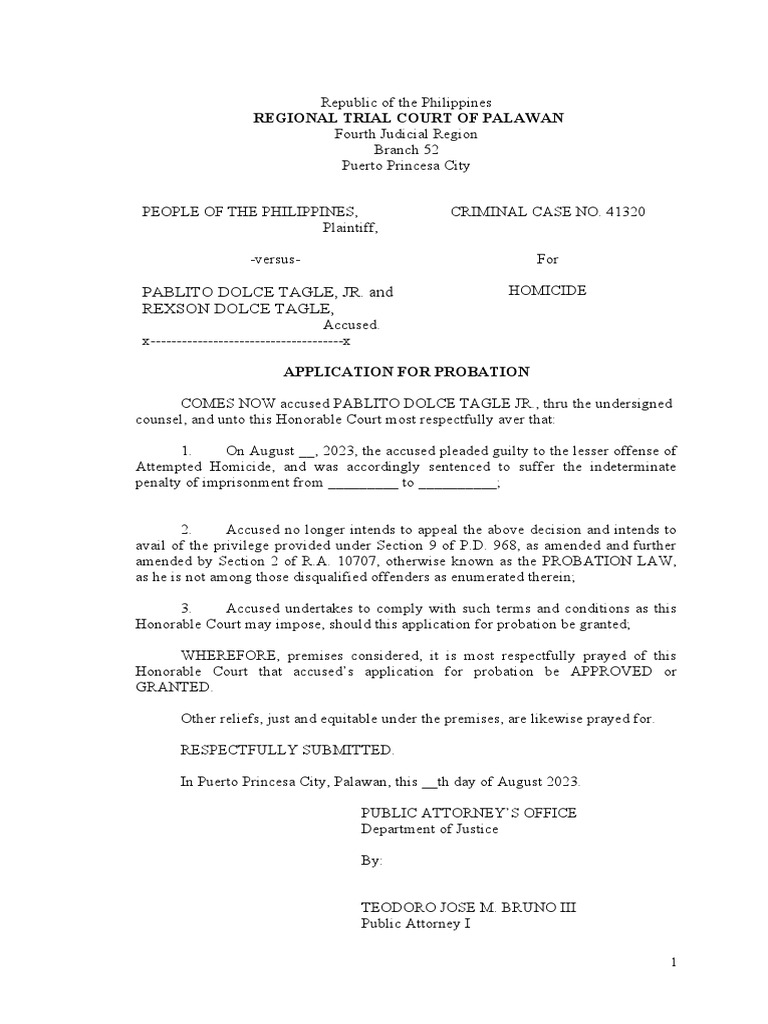 App For Probation Tagle | PDF