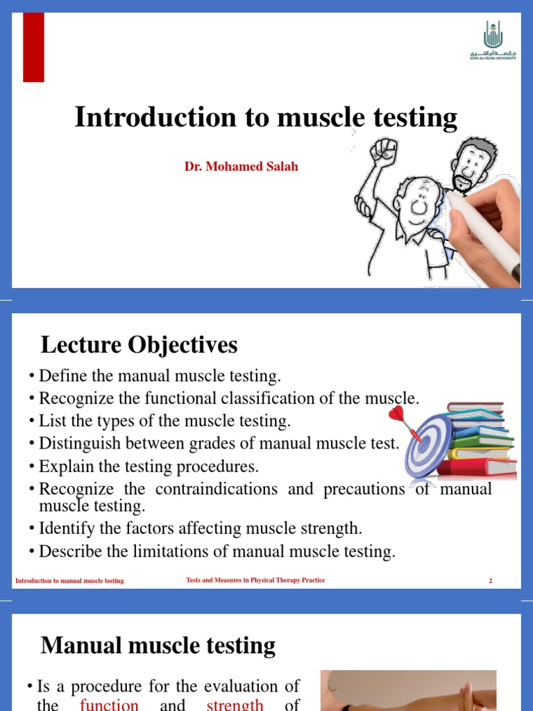Lecture 1 ( Introduction to Manual Muscle Testing) | PDF | Anatomical ...