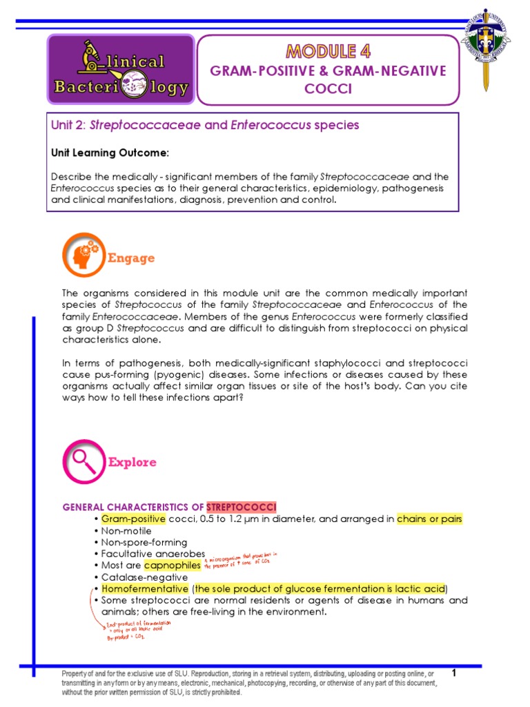 Streptococcus & Enterococcus Overview | PDF