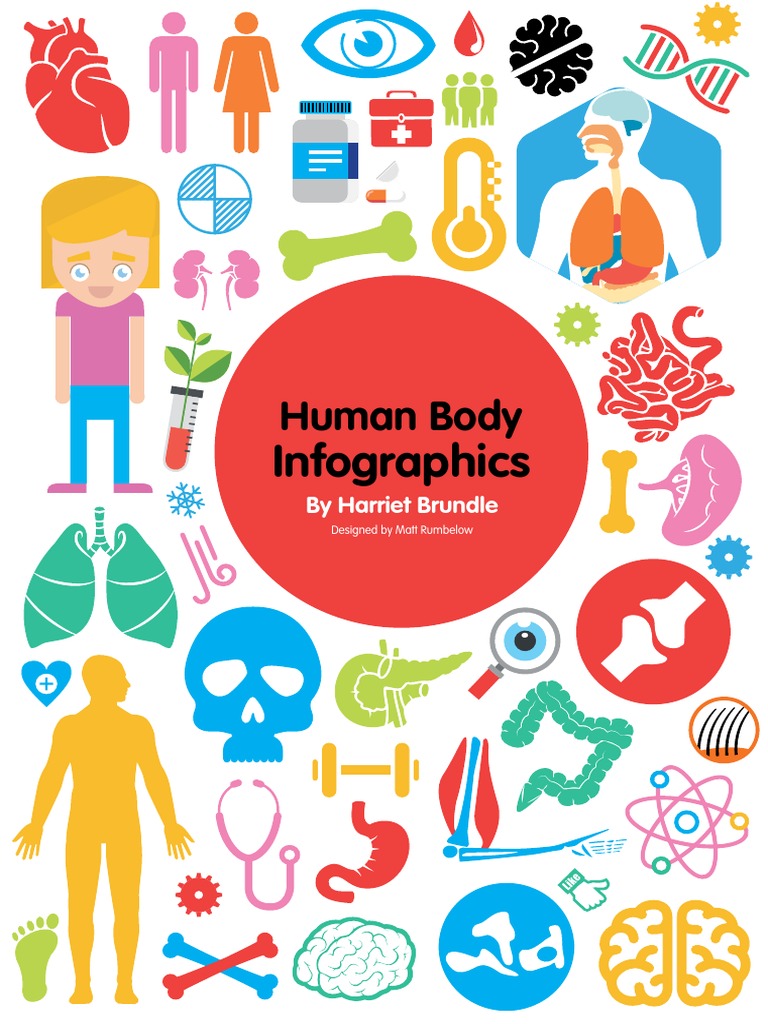 Human Body Infographics | PDF | Breathing | Blood