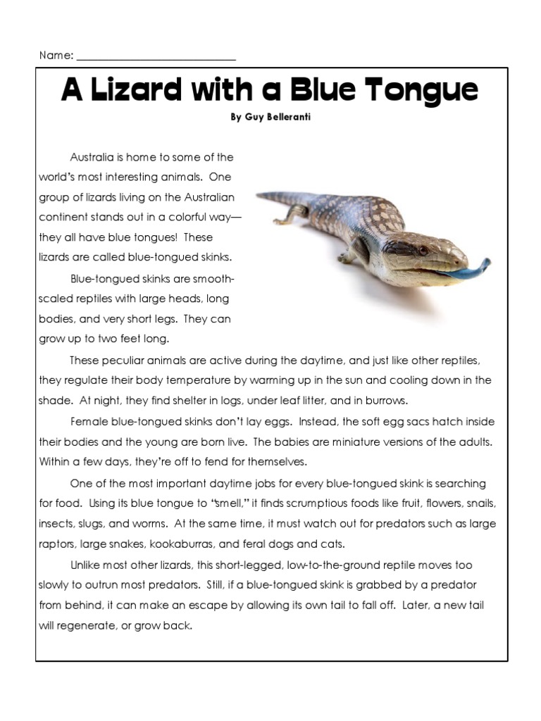 5th Lizard With A Blue Tongue | PDF | Lizard | Predation