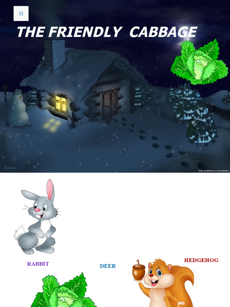 Story Cabbage | PDF