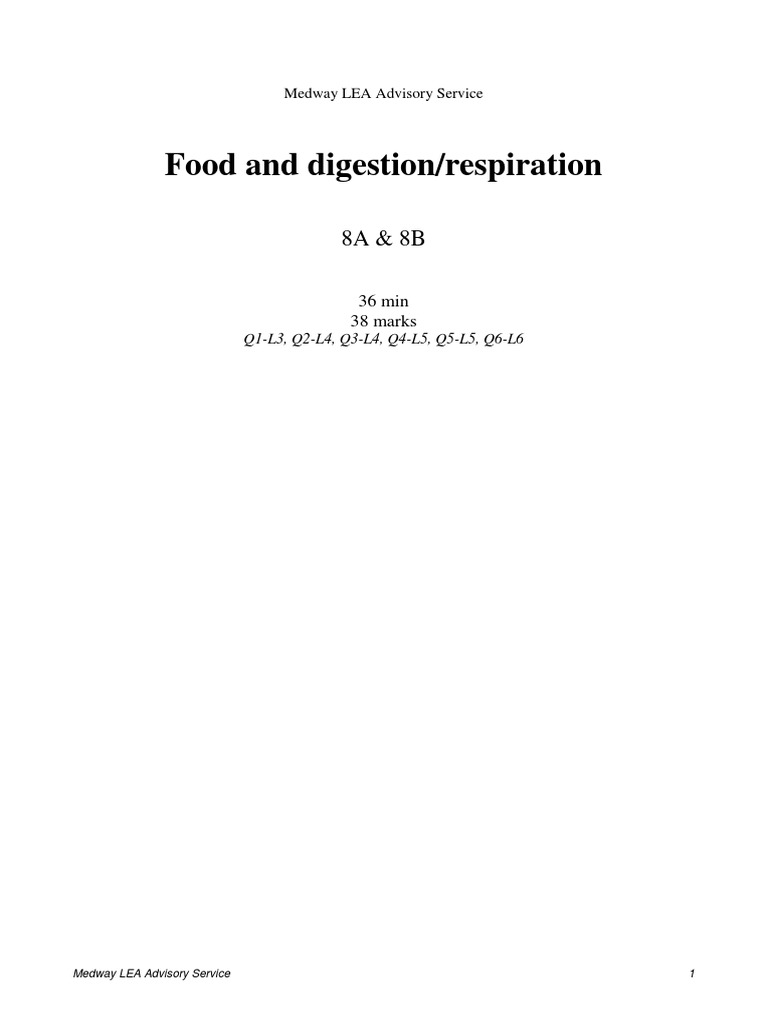 Food Digestion & Respiration Quiz | PDF