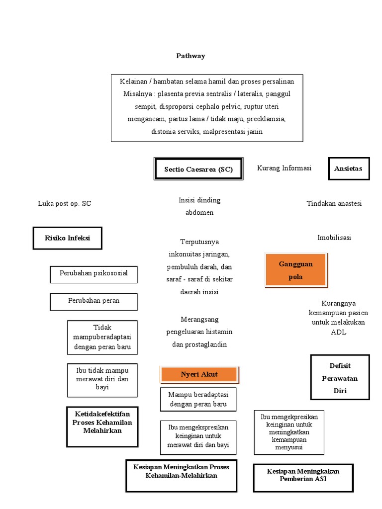 Pathway Post SC | PDF