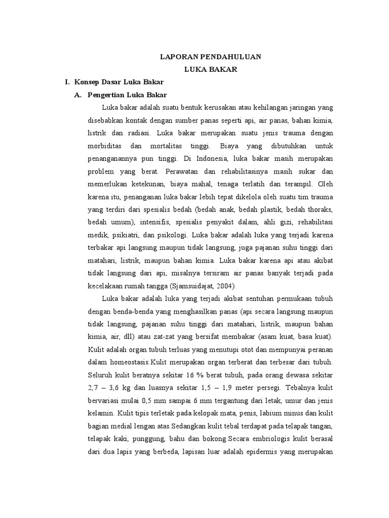 LP LUKA BAKAR Tya-1 | PDF