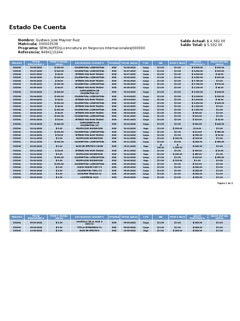 Estado de Cuenta | PDF