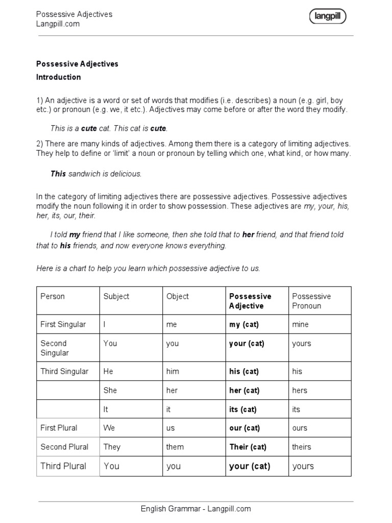 1.1 21. (Textbook) Possessive Adjectives PDF | PDF | Noun | Grammatical ...