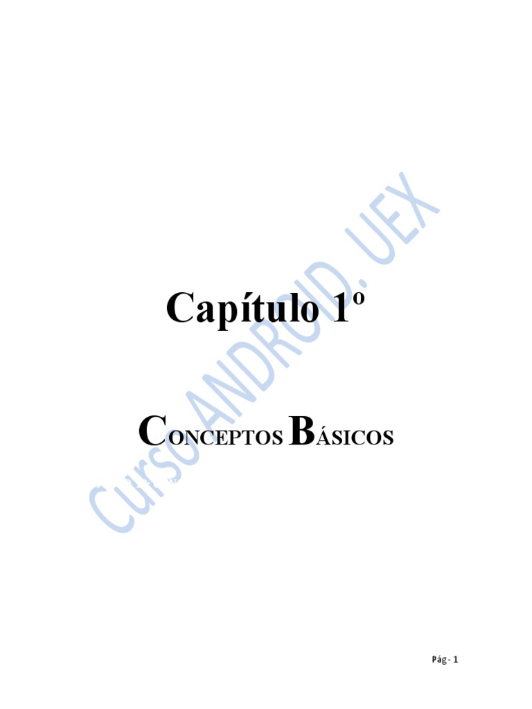 Capitulo 1. Conceptos Basicos | PDF Capitulo 1. Conceptos Basicos | PDF