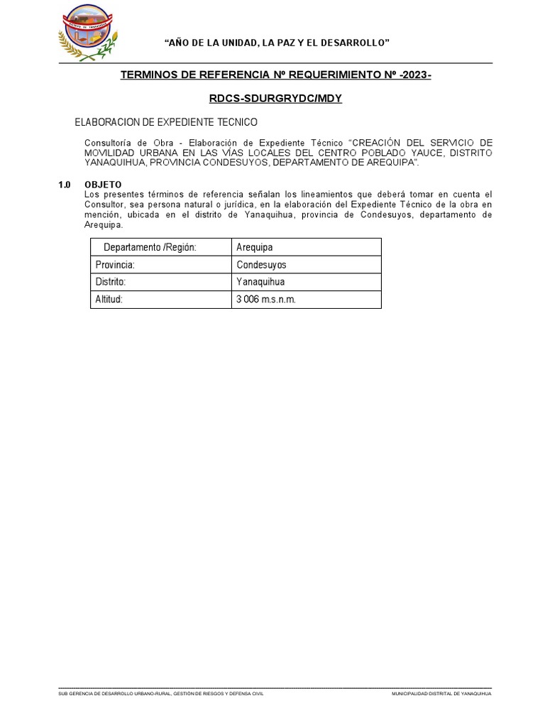 TDR Expediente Tecnico Calles Yauce | PDF