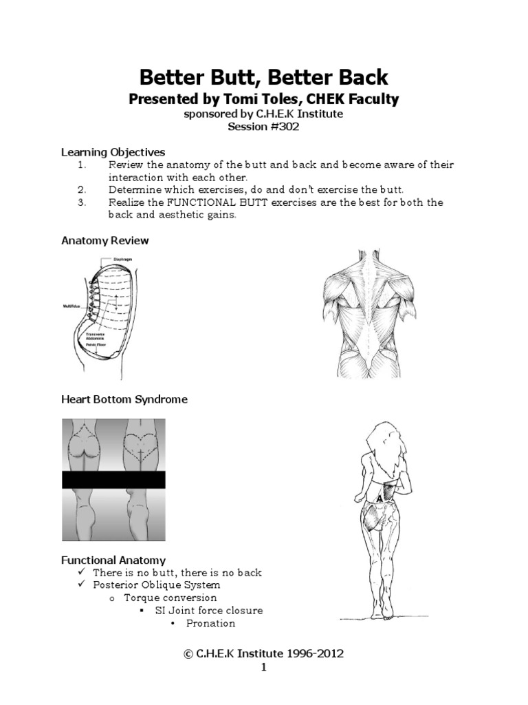 Functional Butt Exercises for Back Health | PDF | Wellness