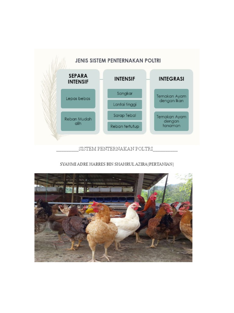 Sistem Penternakan Poltri | PDF