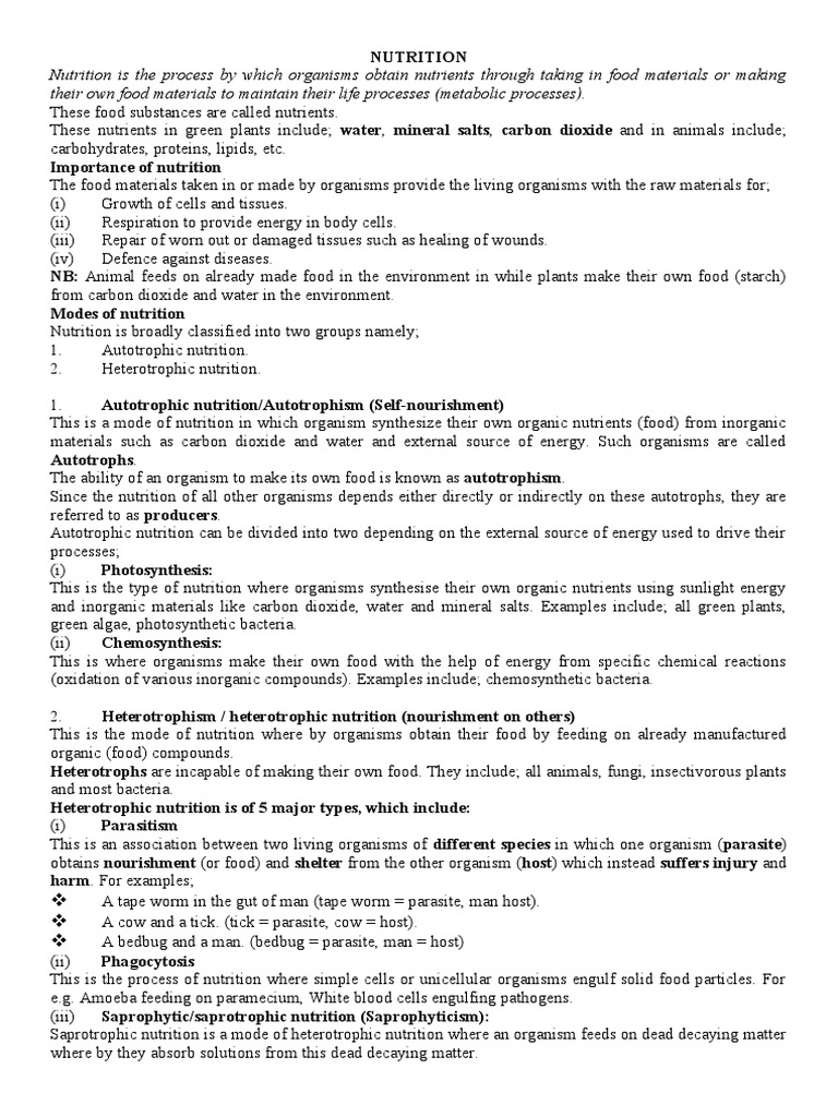 Nutrition in Plants and Animals | PDF
