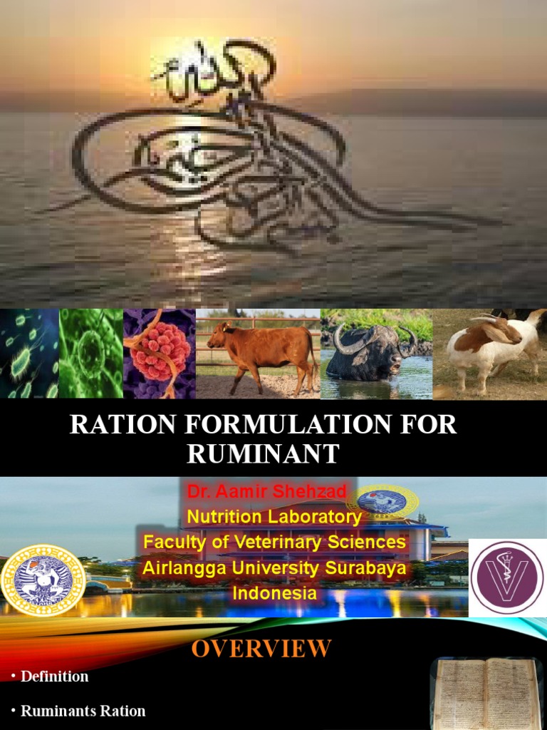 Large Ruminant | Download Free PDF | Dairy Cattle | Cattle
