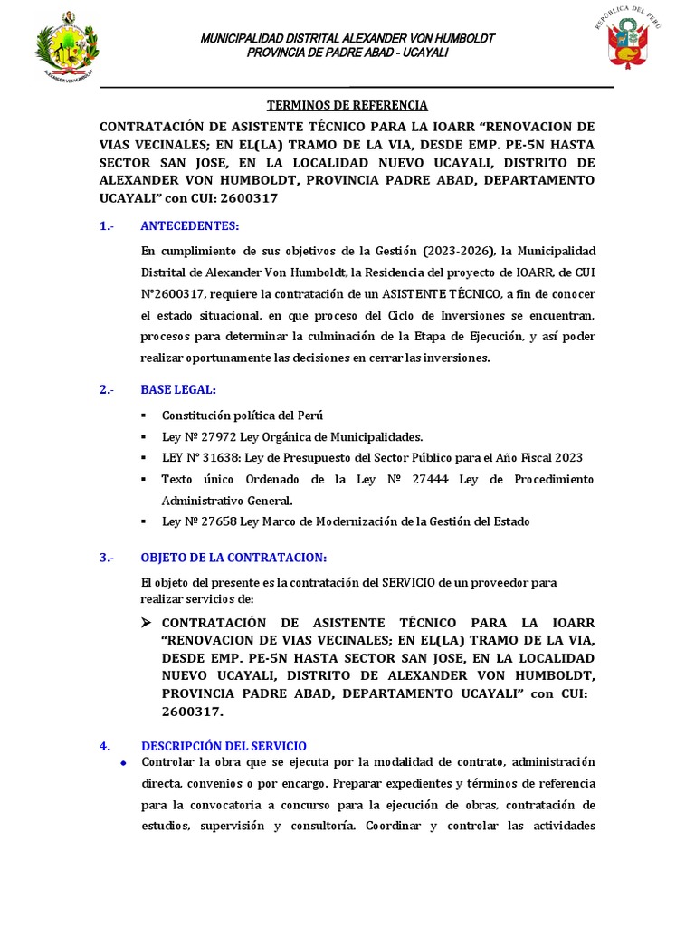 TDR Asistente Técnico | PDF