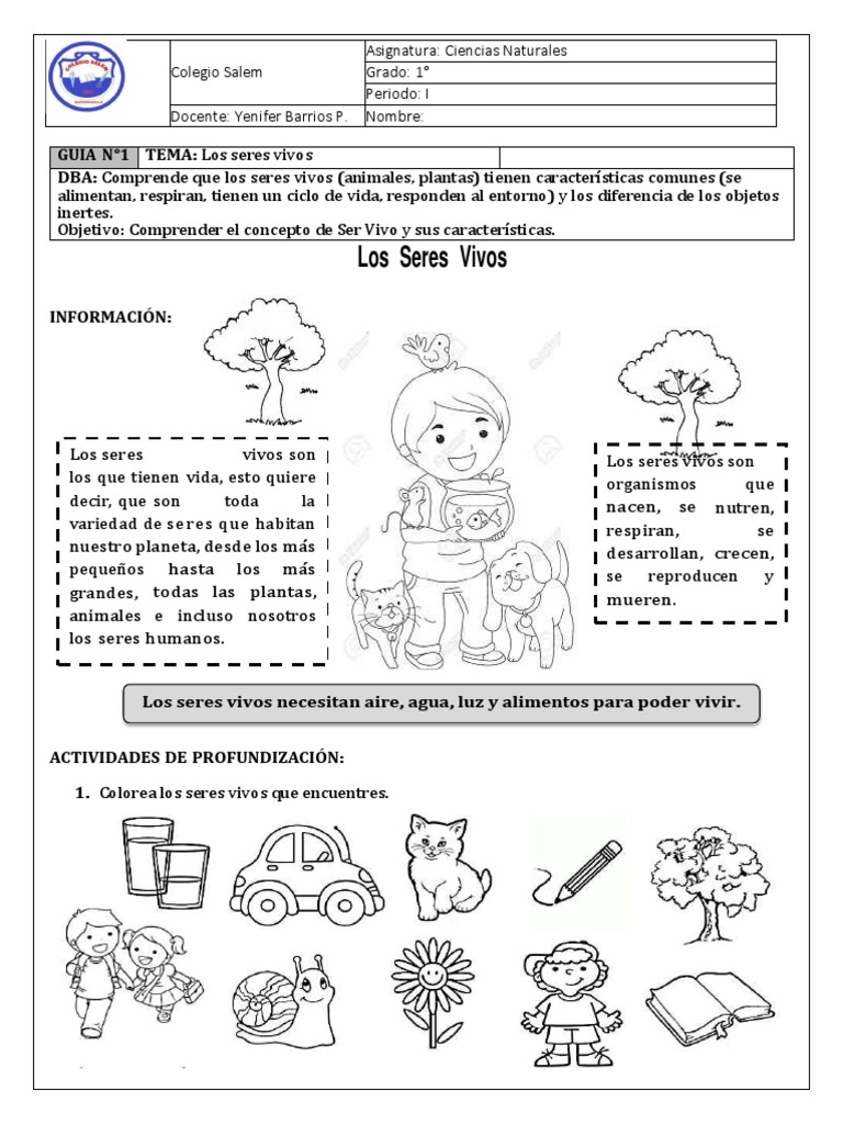 Actividades sobre los Seres Vivos | PDF | Ciencia y matemáticas