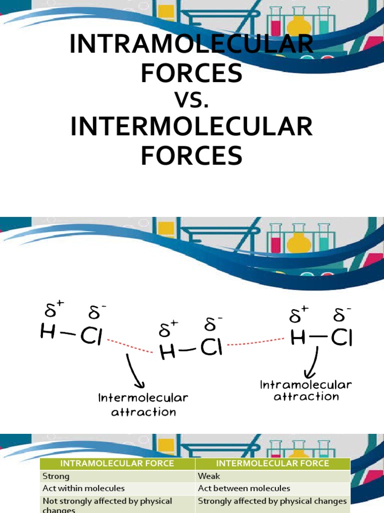 Intramolecular Forces and Intermolecular Forces | PDF | Chemical Bond | Intermolecular Force