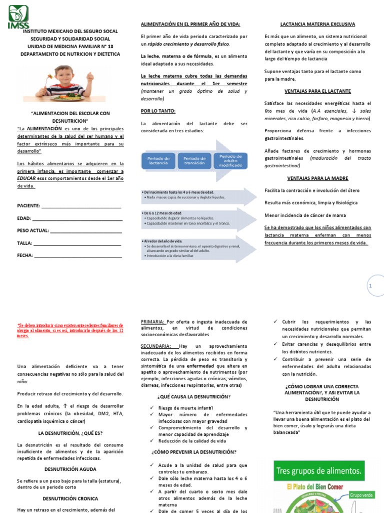 ALIMENTACION DEL NIÑO DESNUTRIDO | PDF | Alimentos | Amamantamiento