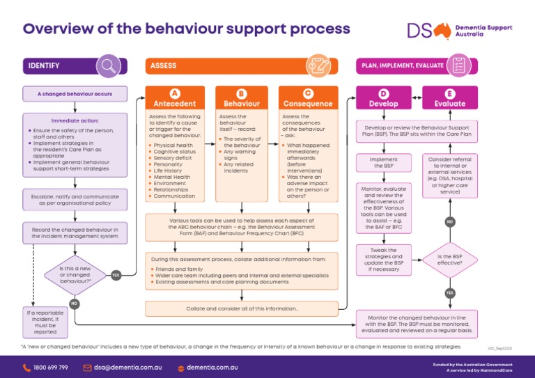 Behaviour Management Process Flowchart - HR | PDF | Behavior | Health Care