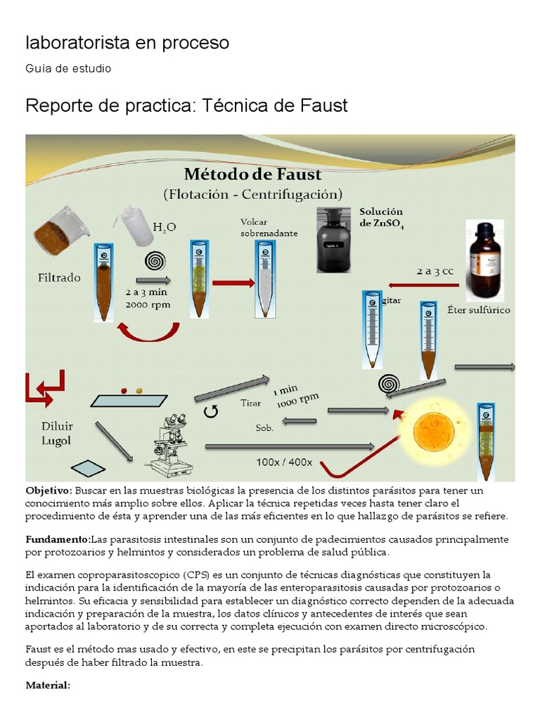Técnica de Faust | PDF