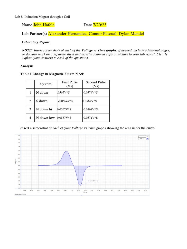 Induction Lab Report: Magnet and Coil | PDF