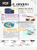 Ciclo de Vida de La Vaca | PDF | Vacas | Leche