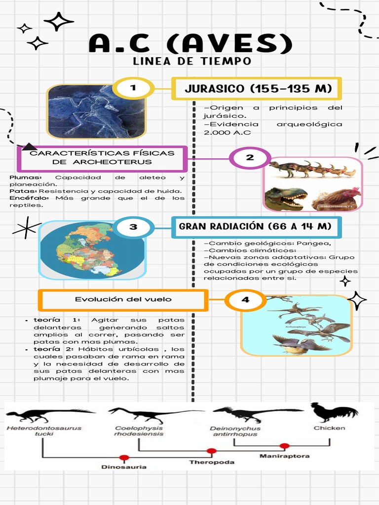 Evolución y Avicultura a través del Tiempo | PDF | Aves | Economias