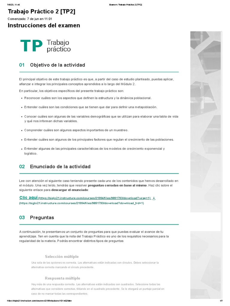 80% Examen - Trabajo Práctico 2 (TP2) | PDF