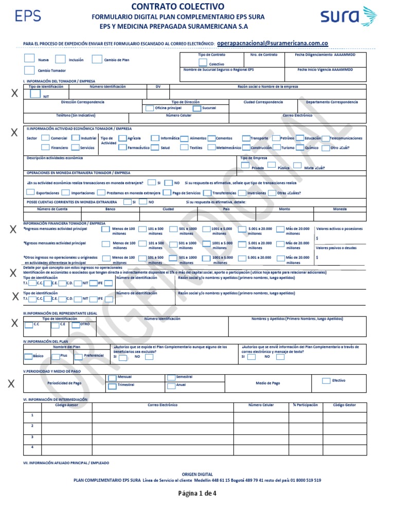 Formulario Plan Complementario Colectivo | Descargar gratis PDF | Moneda | Business