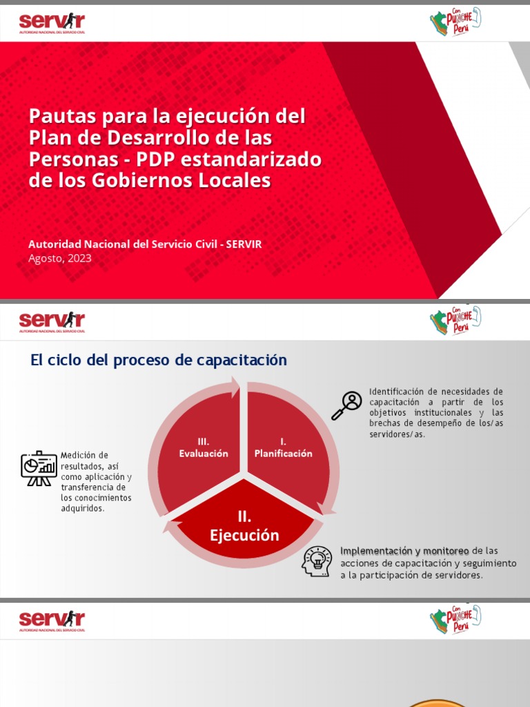 Pautas para La Ejecución Del PDP Estandarizado de Los Gobiernos Locales | PDF | Presupuesto ...