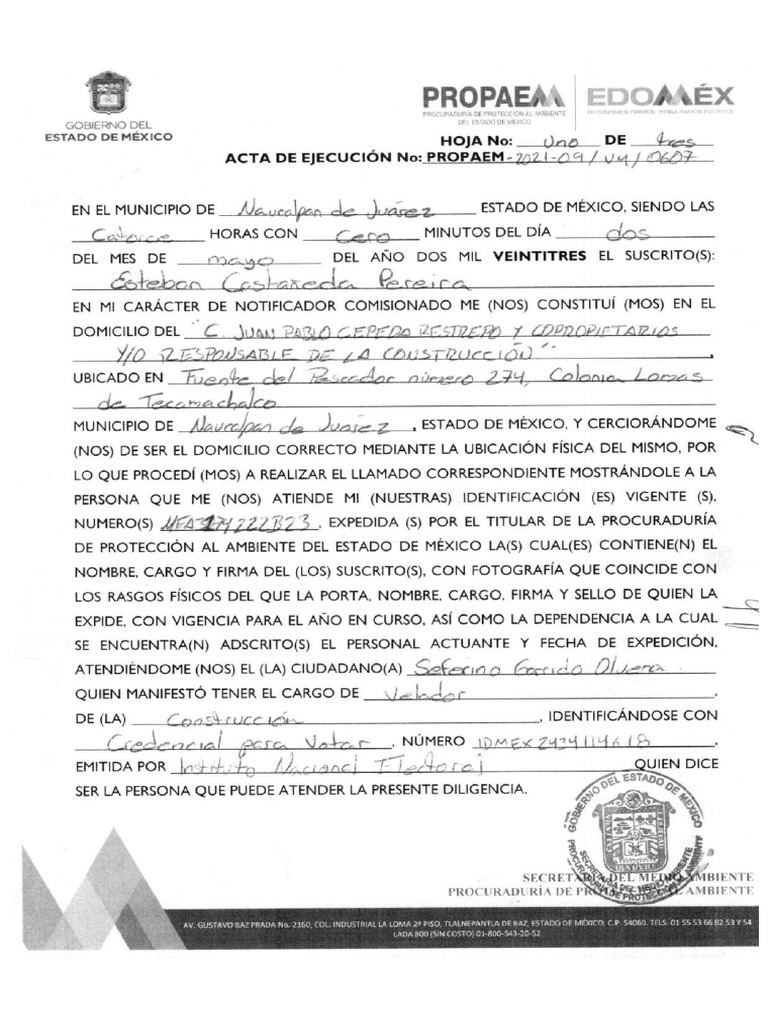 Acta de Ejecucion Propaem | PDF