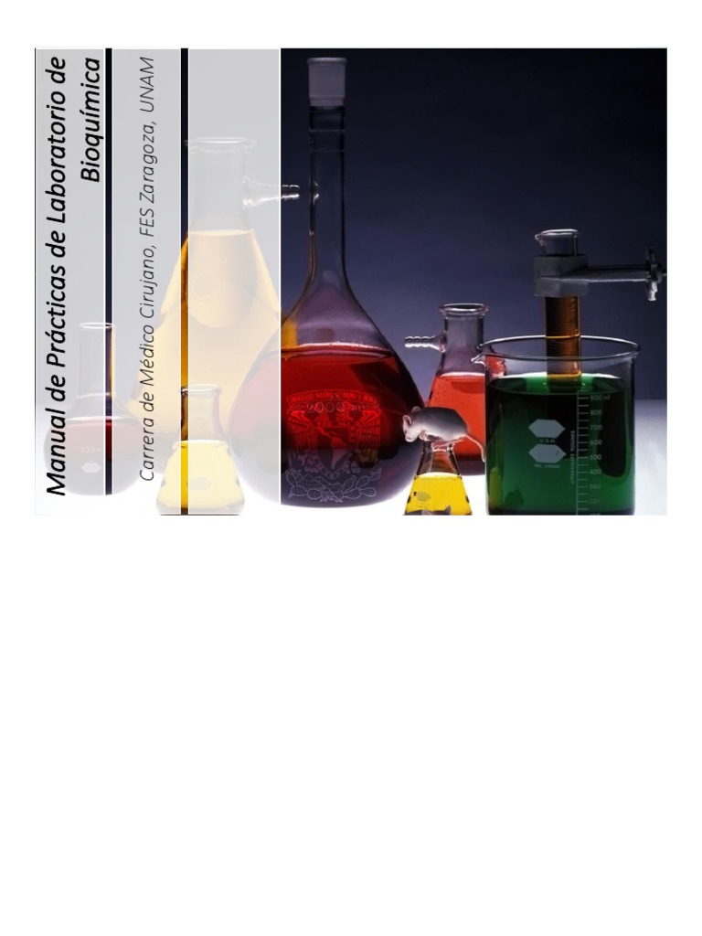 Manual De Prácticas Del Laboratorio De Bioquímica Pdf Cromatografía