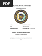 Uji Aktivitas Bakteri Metode Difusi Sumu | PDF