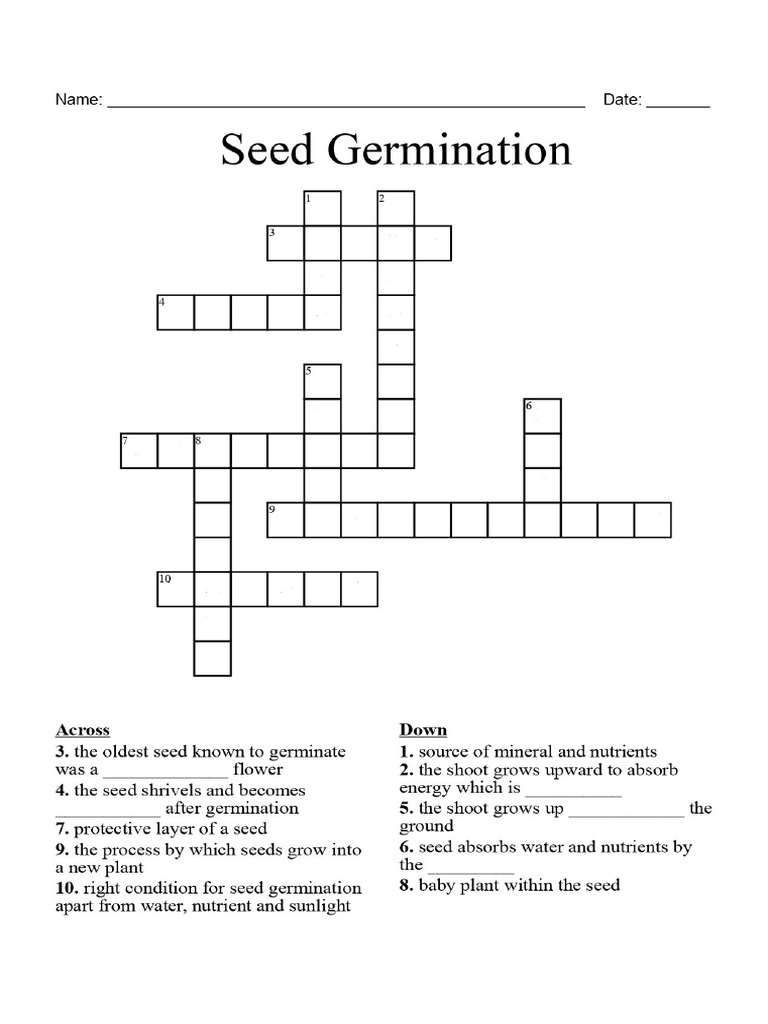 Seed Germination | PDF
